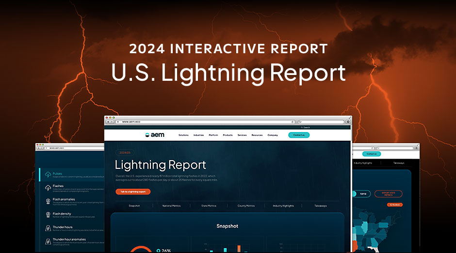 2024 United States Lightning Report - AEM